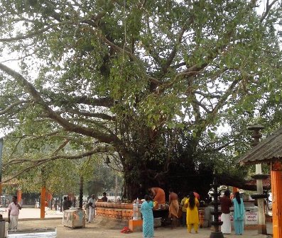 Welcome to Kerala window